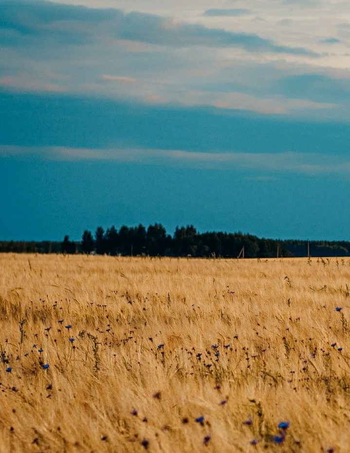 성경진리사역원(BTMK) | 2023 여름 권역별 어린이 특별집회 안내